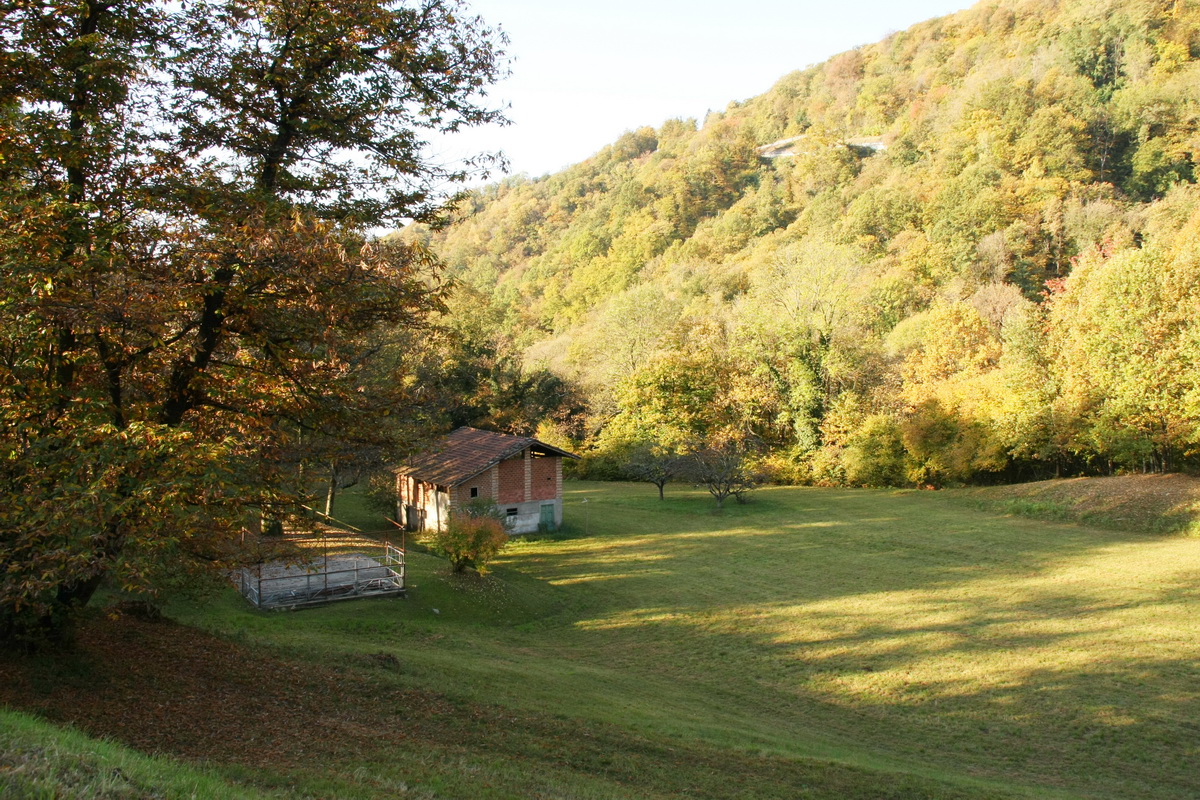 Bosco Luganese Frazione di Bioggio nel Canton Ticino